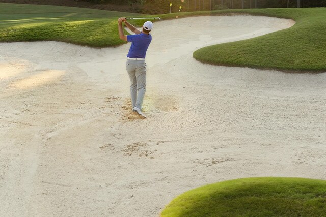 Business TV Packages | DIRECTV FOR BUSINESS