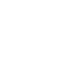 GitHub - rolandosegundo/TV21