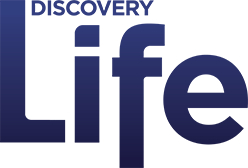 GitHub - rolandosegundo/TV21